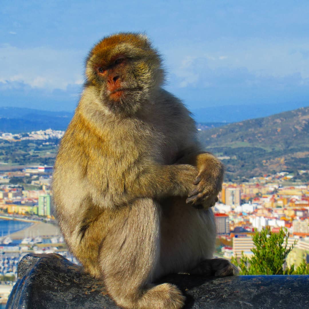 Resource: Men Who Talk – Better Days Wellbeing